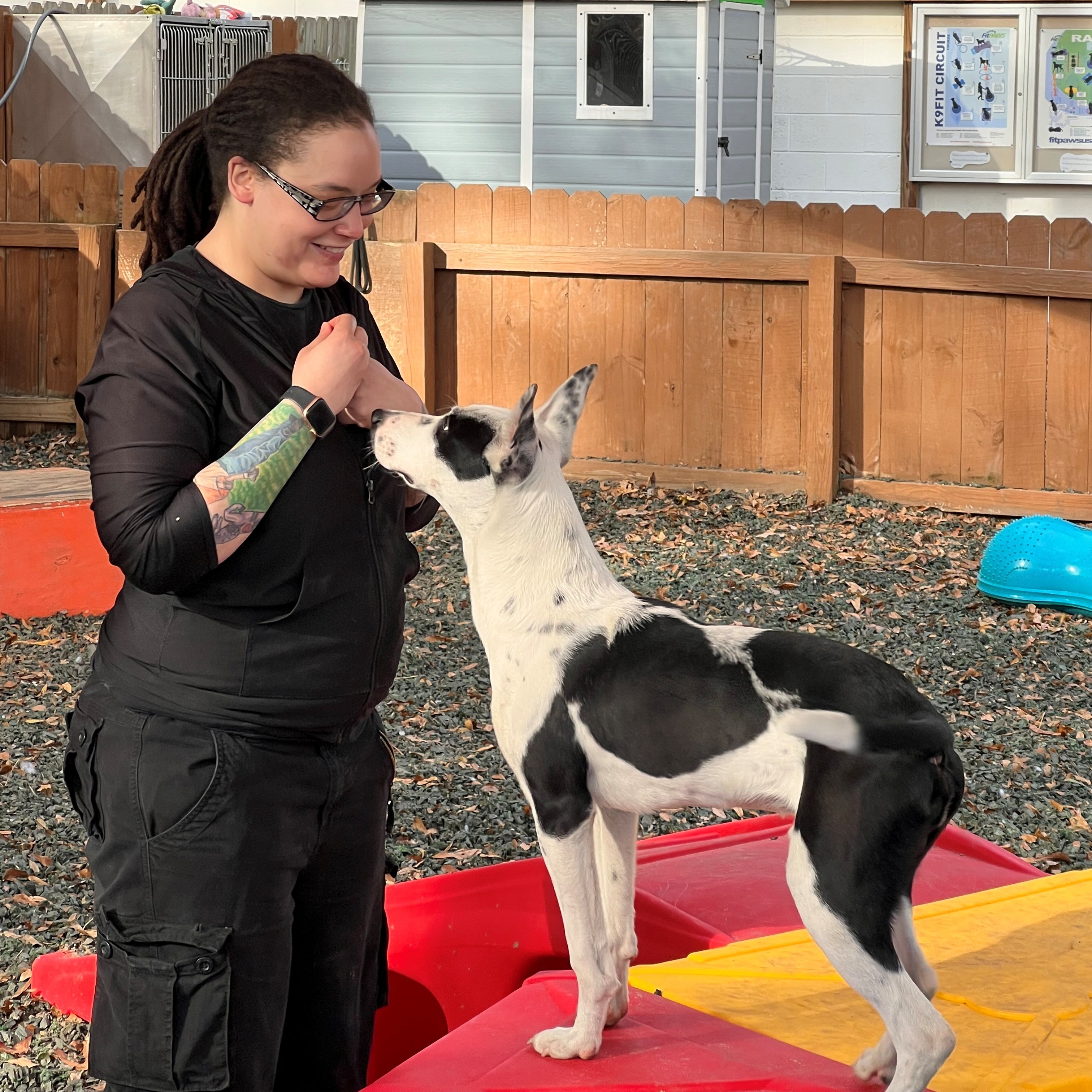 PAWS Atlanta: A No-Kill Animal Shelter in Metro Atlanta