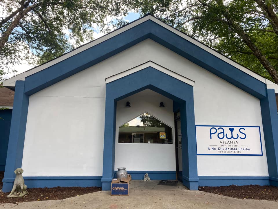PAWS Atlanta: A No-Kill Animal Shelter in Metro Atlanta