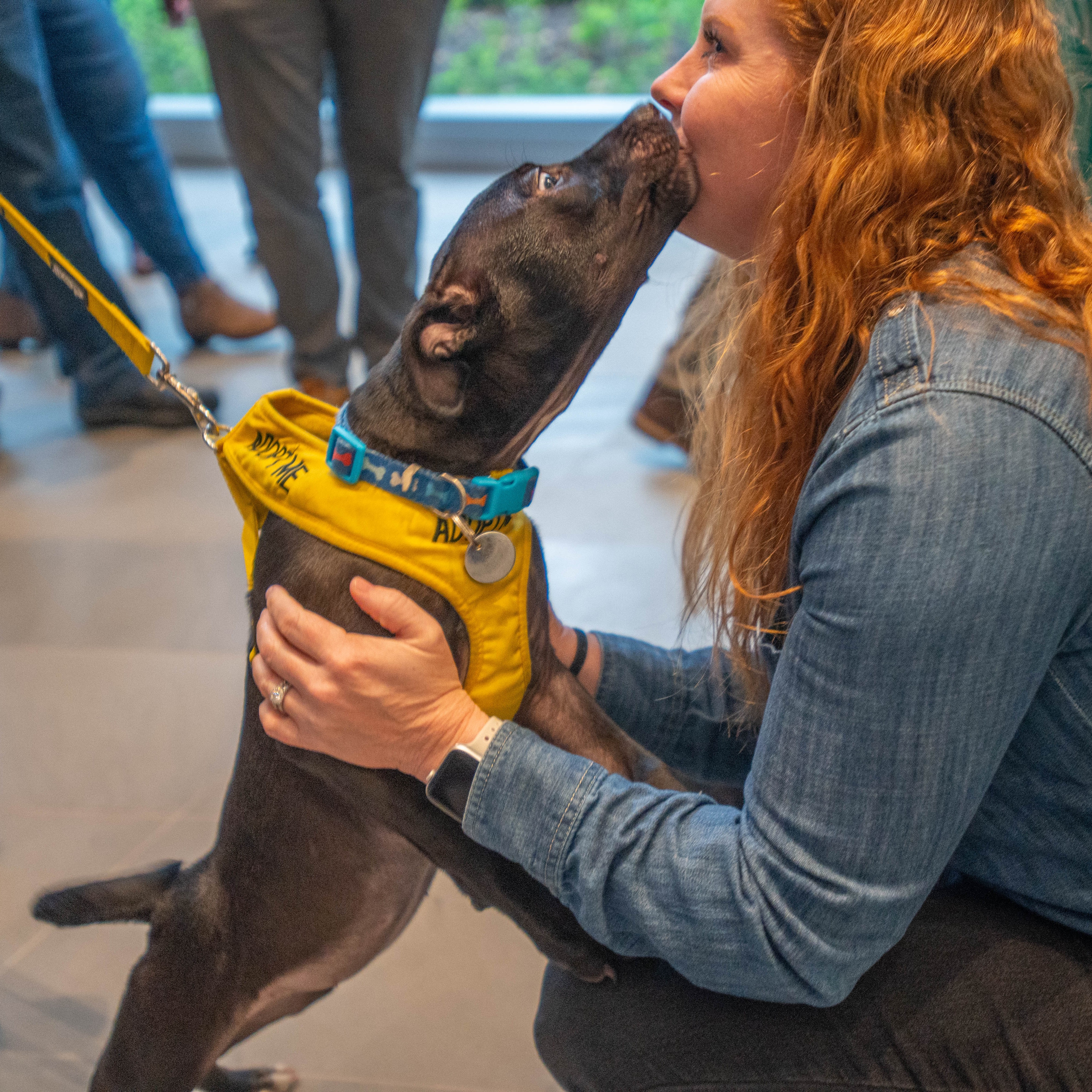 PAWS Atlanta: A No-Kill Animal Shelter in Metro Atlanta